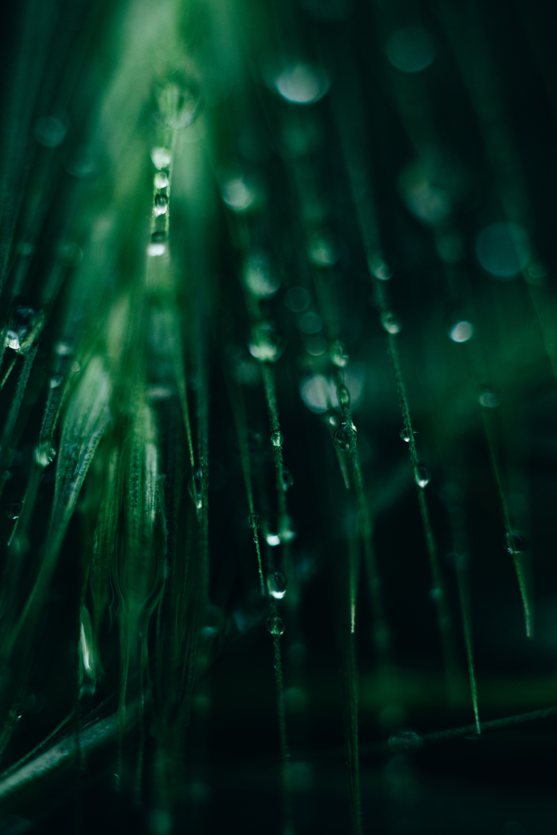 Vita - Starterkit, CO2 Zylinder Wassersprudler - SP05461 - Gessi DE